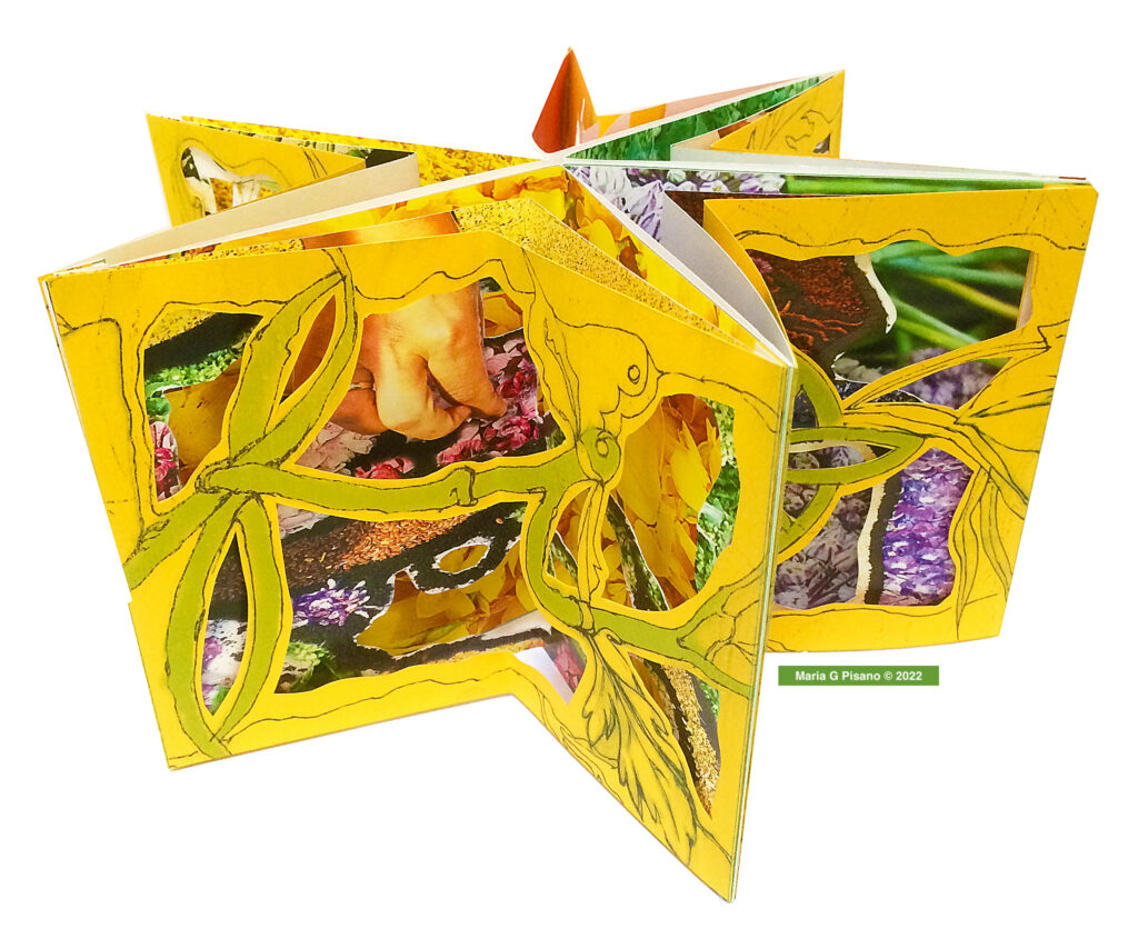 Maria G. Pisano - Center for Book Arts